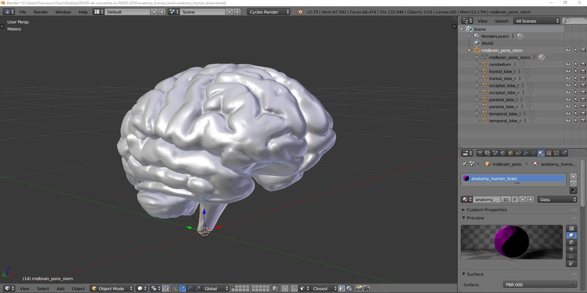 Pbr Uv-unwrapped Human Brain 3ds