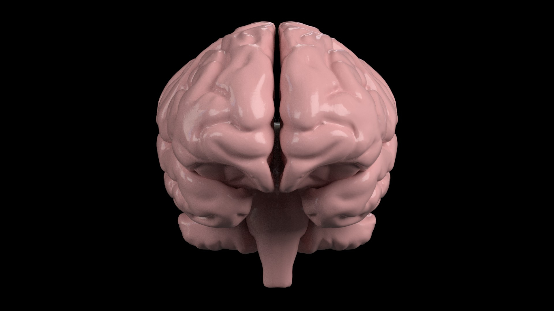 Pbr Uv-unwrapped Human Brain 3ds