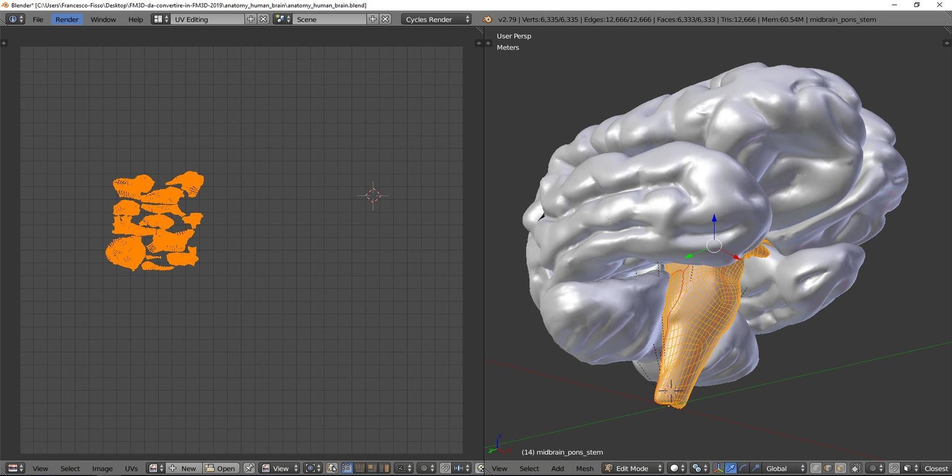 Pbr Uv-unwrapped Human Brain 3ds