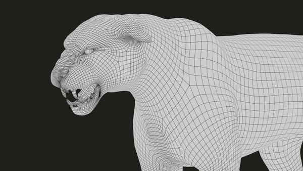 Bengal tiger xgen animation 3D model - TurboSquid 1643030