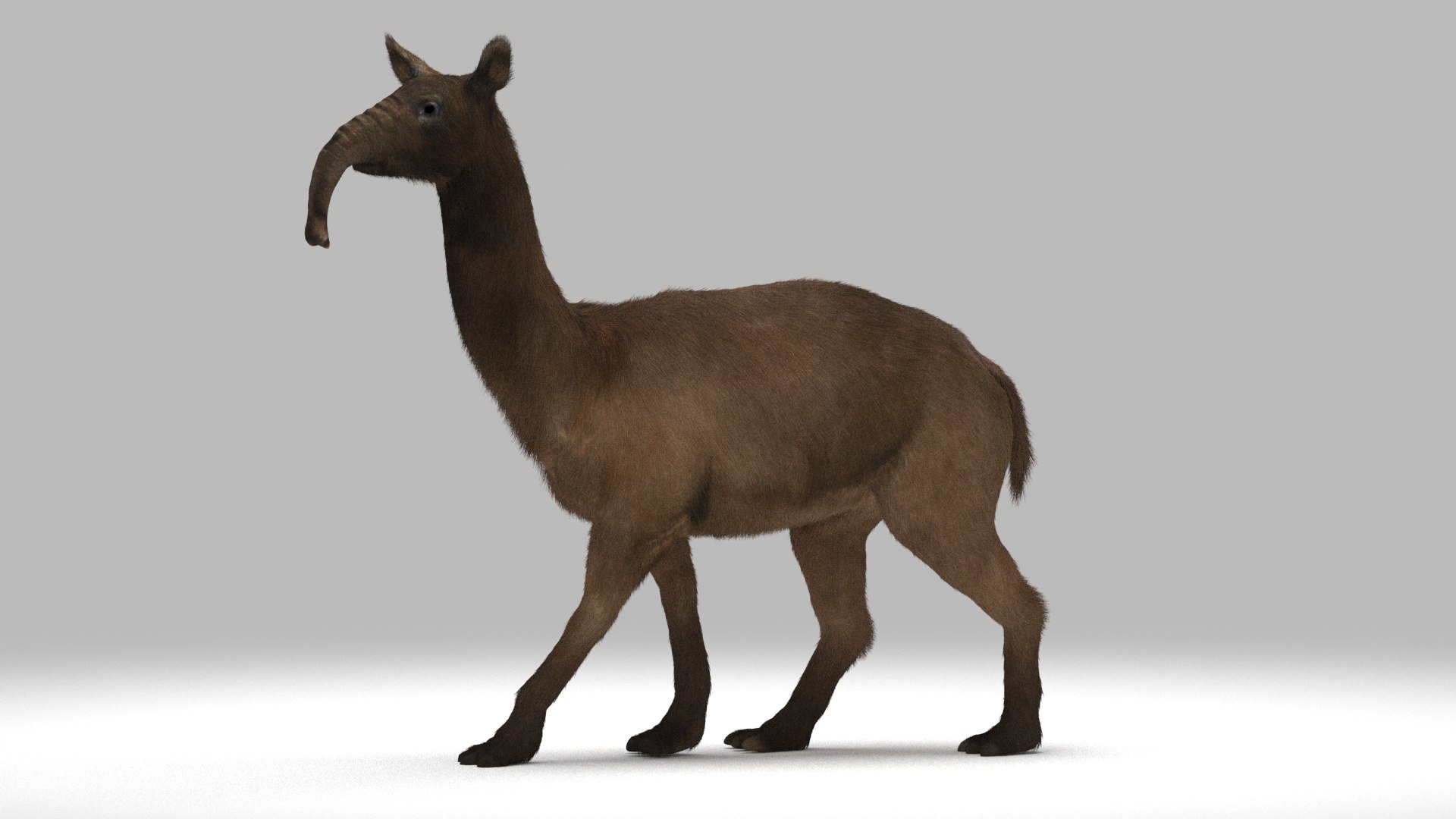 Macrauchenia Extinct Mammal 3D Model - TurboSquid 1290742