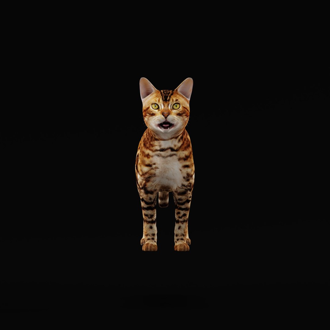 3D Bengal Cat Model - TurboSquid 2260643