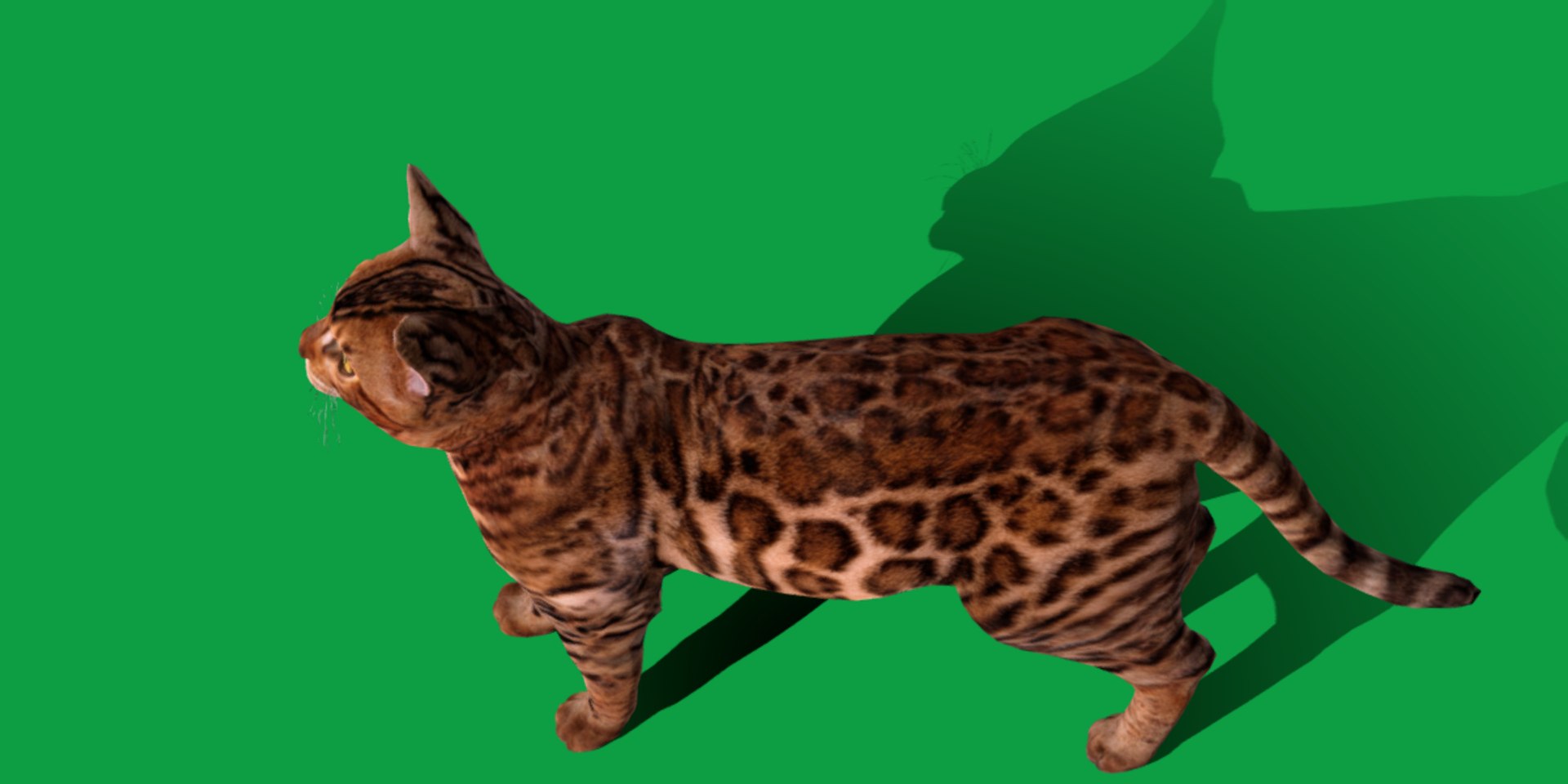 3D Bengal Cat Model - TurboSquid 2260643