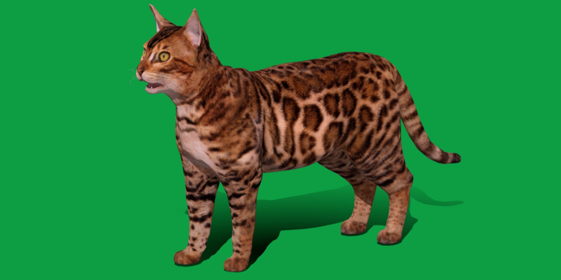 3D Bengal Cat Model - TurboSquid 2260643