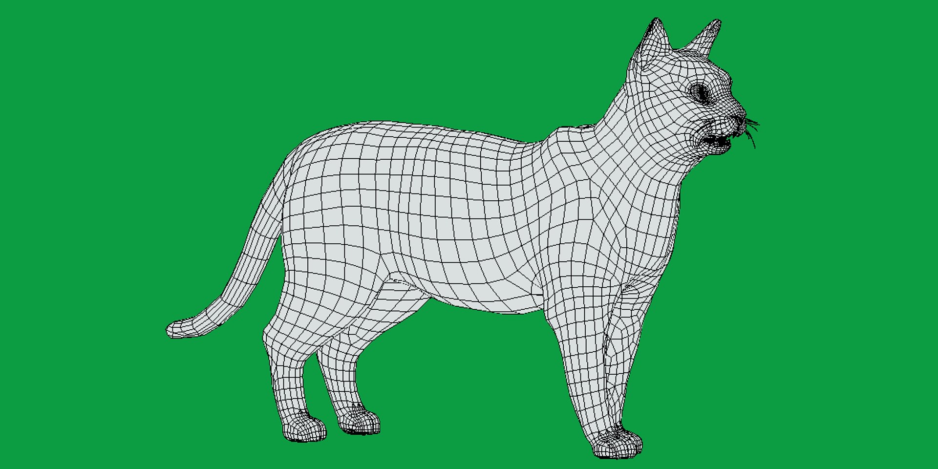 3D Bengal Cat Model - TurboSquid 2260643