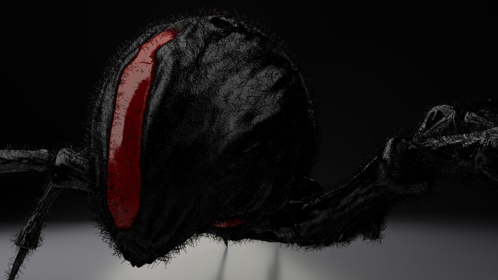 3D Scary Black Widow Spider Model - TurboSquid 2030887