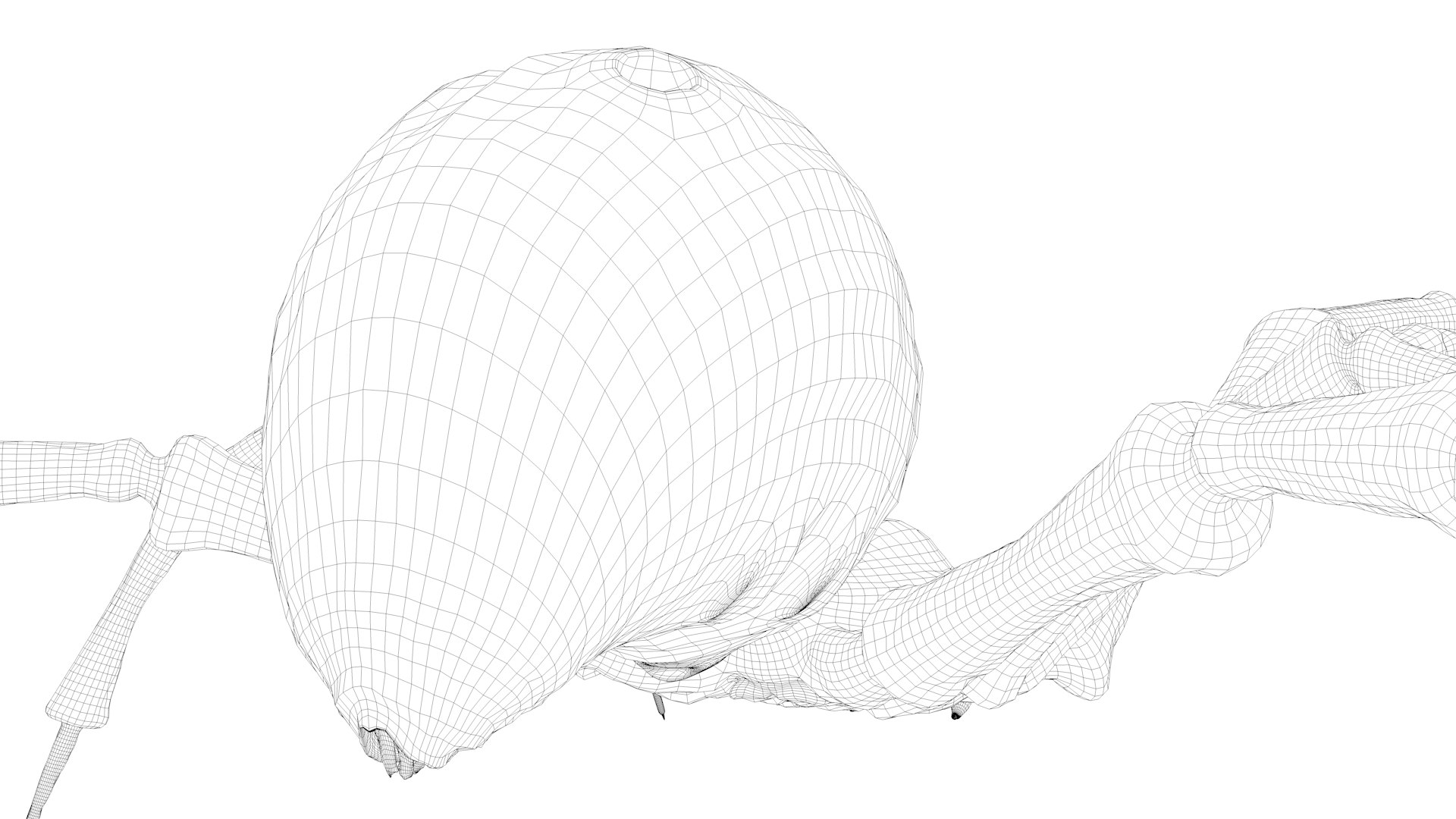 3D Scary Black Widow Spider Model - TurboSquid 2030887