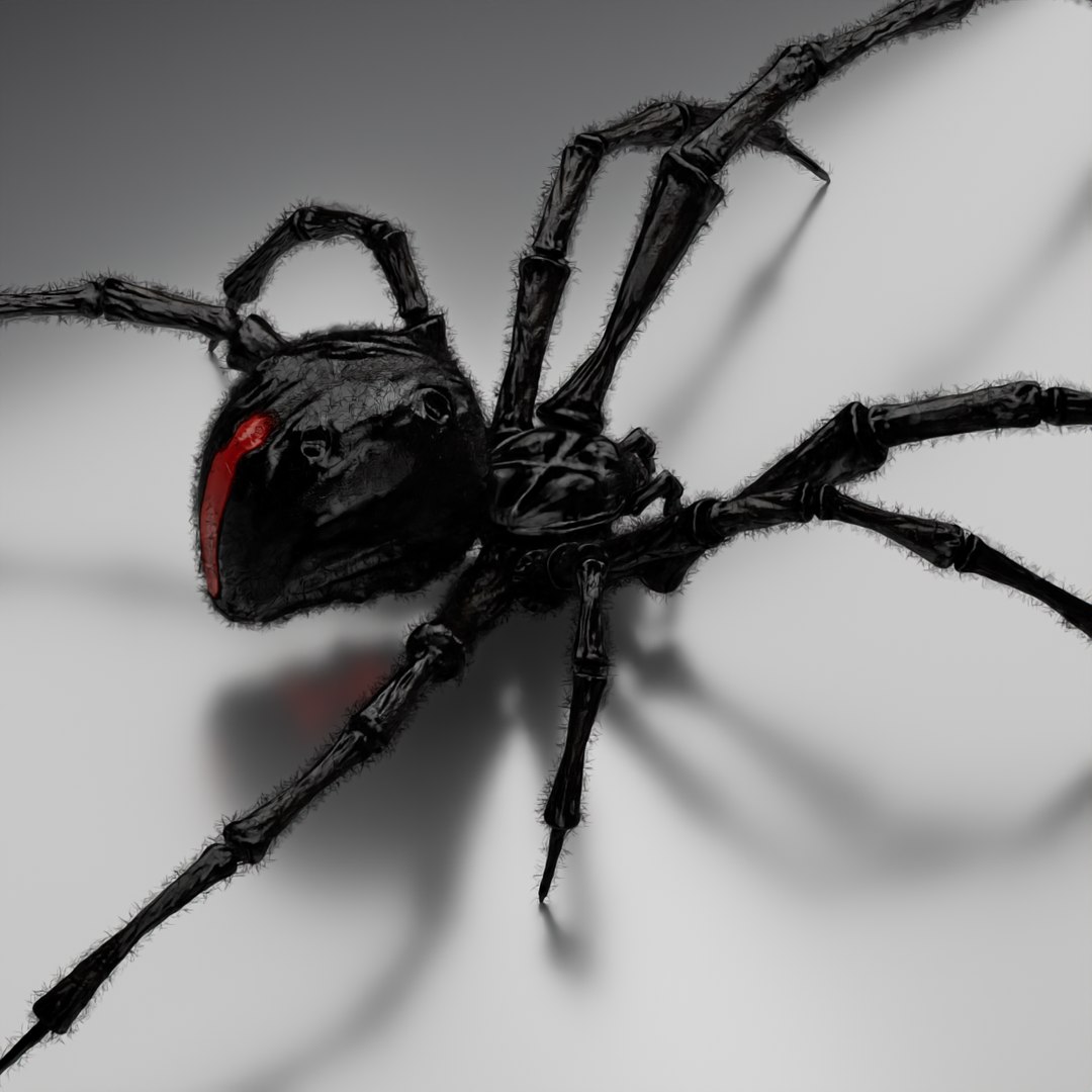 3D Scary Black Widow Spider Model - TurboSquid 2030887