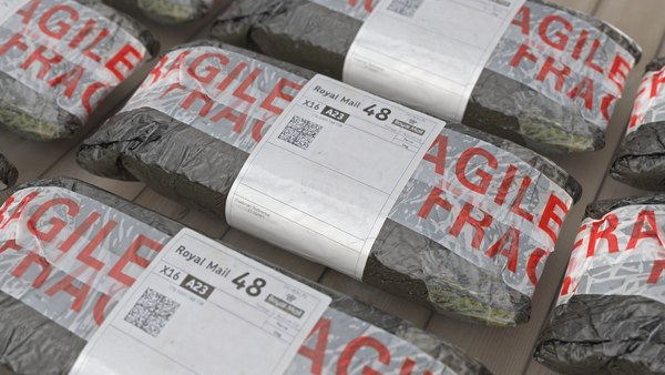 3D model Parcel Collection - TurboSquid 1734004