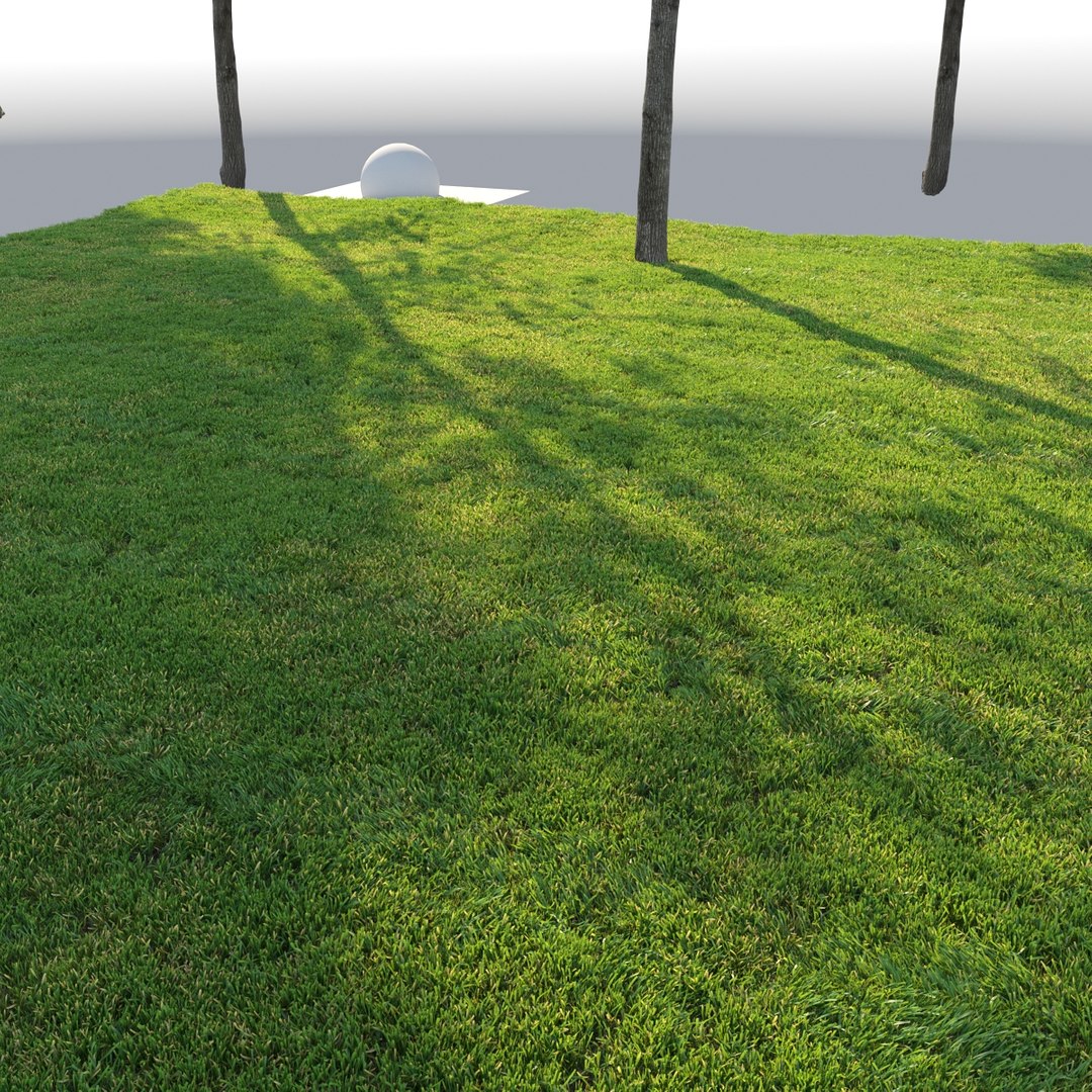 Cut Grass V2 3D Model - TurboSquid 1736594