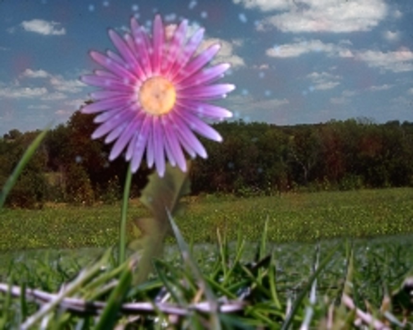3ds max flower