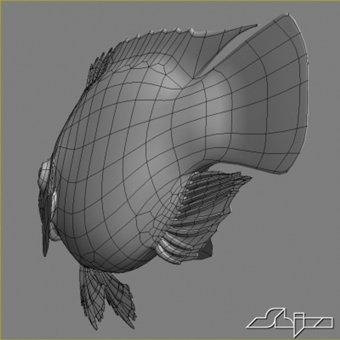 Fish Red Snapper 3d Model