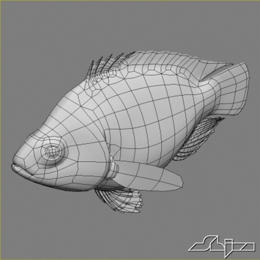 Fish Red Snapper 3d Model