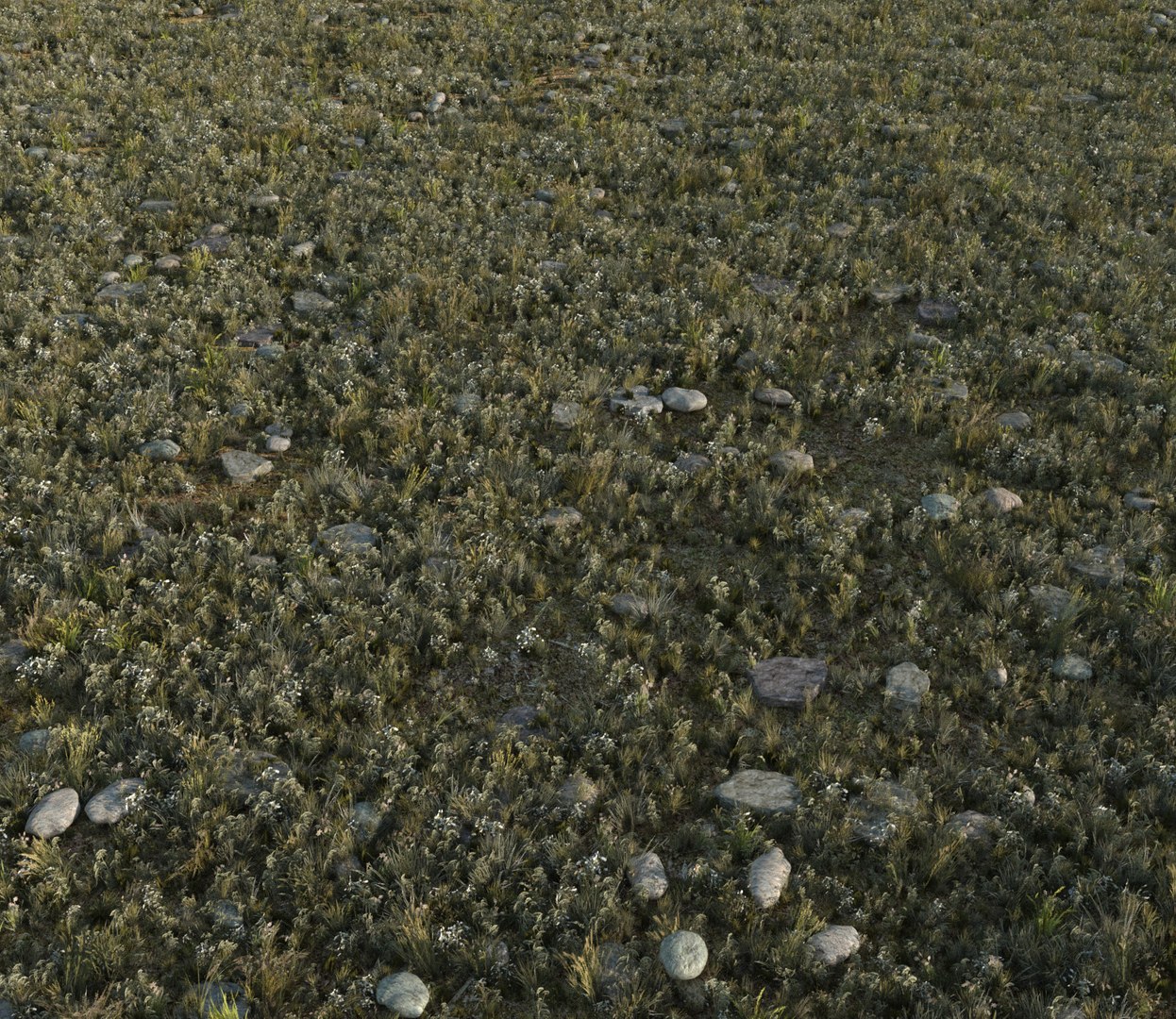 Real-time Wild Grass Field 3D Model - TurboSquid 1193869