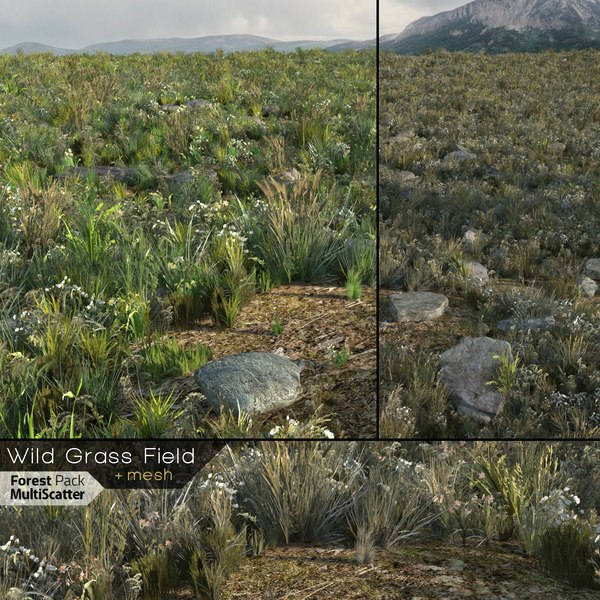 real-time lawn grass 3d model