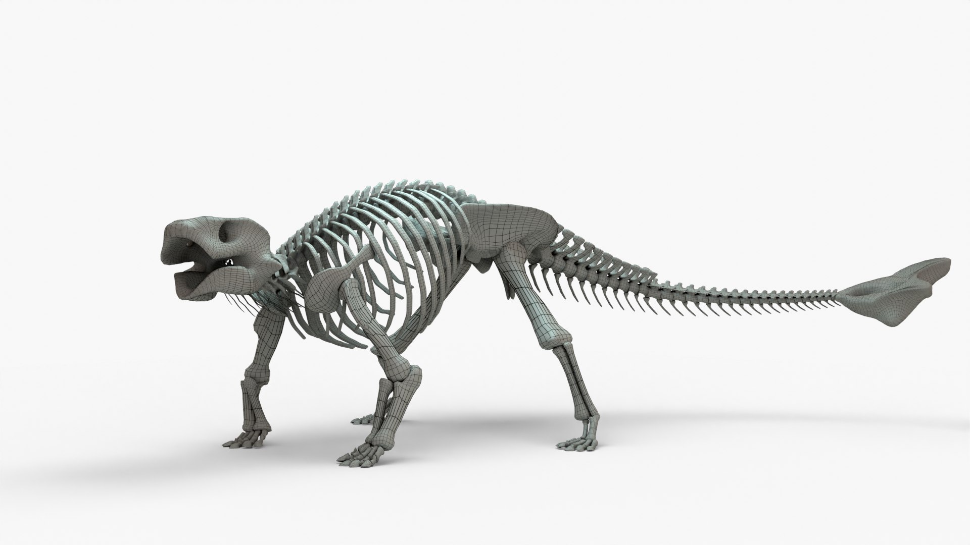 3D Ankylosaurus Rigged Skeleton model - TurboSquid 2131467