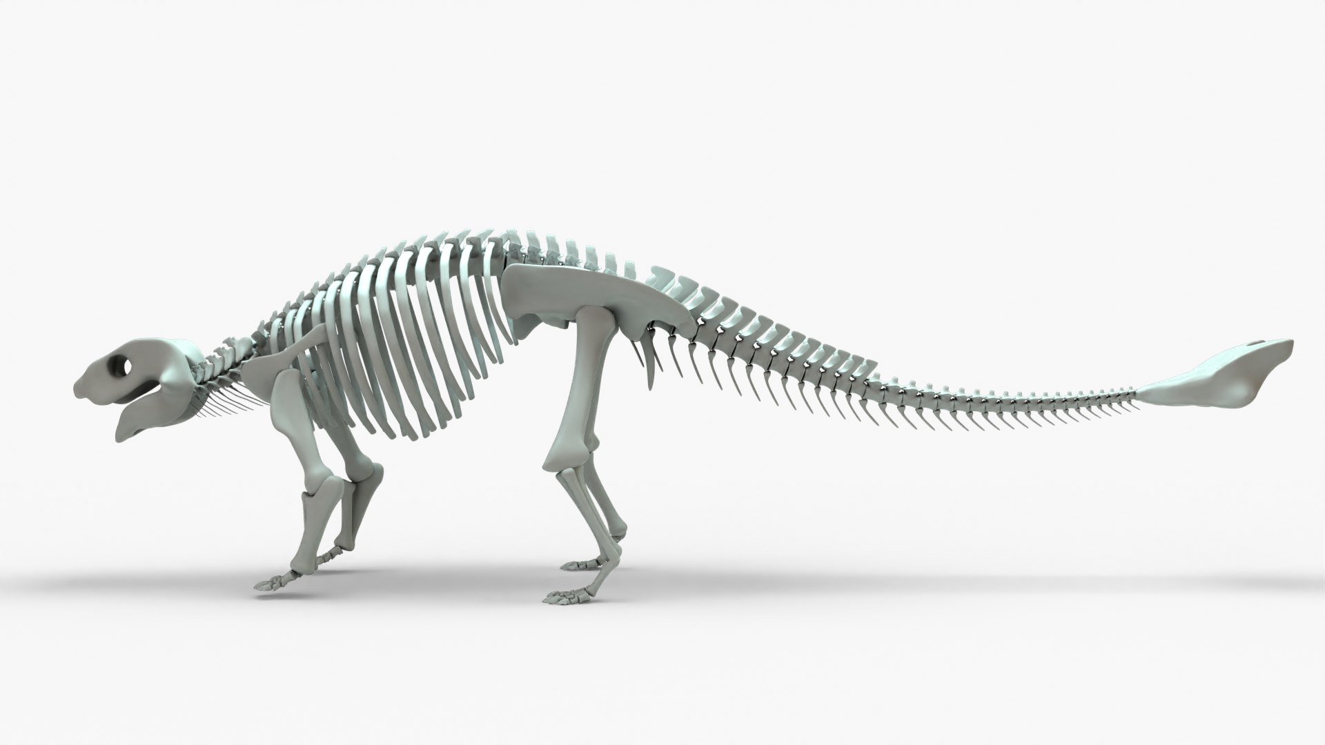 3D Ankylosaurus Rigged Skeleton model - TurboSquid 2131467