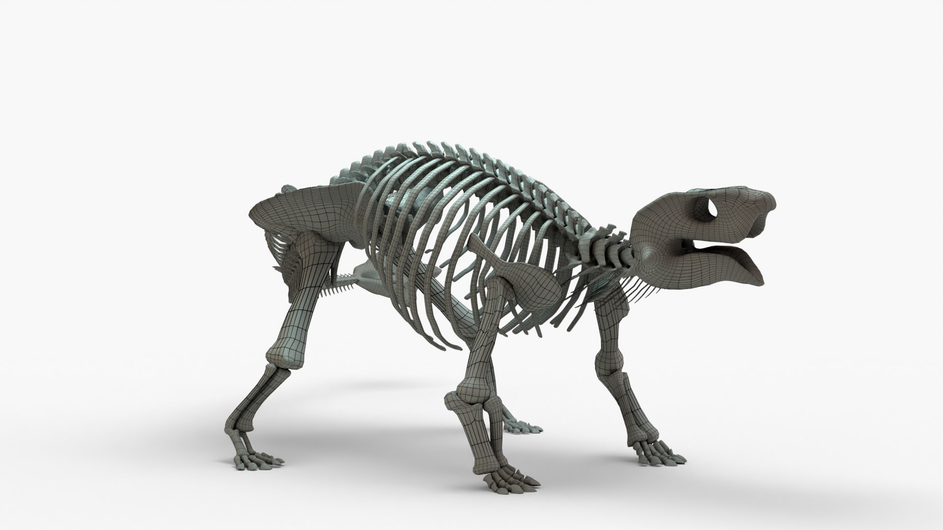 3D Ankylosaurus Rigged Skeleton model - TurboSquid 2131467