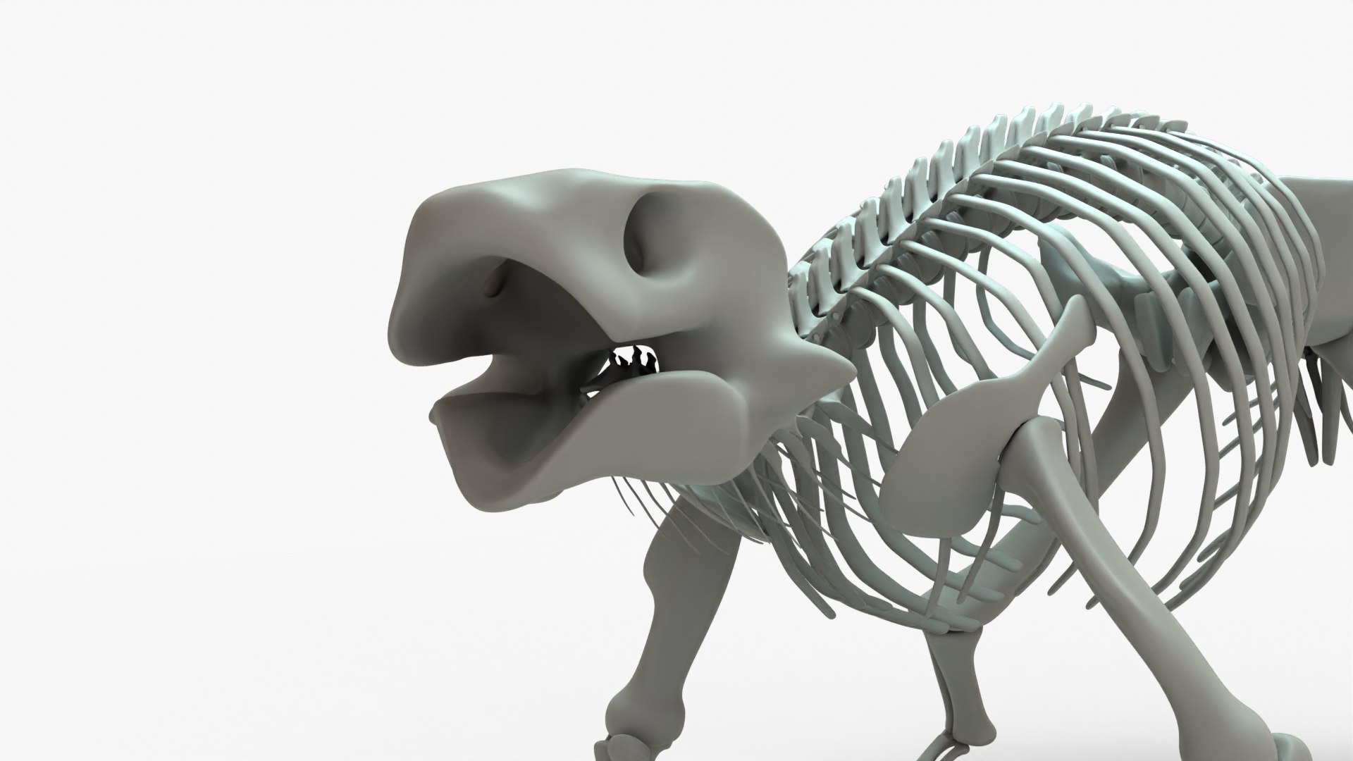 3D Ankylosaurus Rigged Skeleton model - TurboSquid 2131467