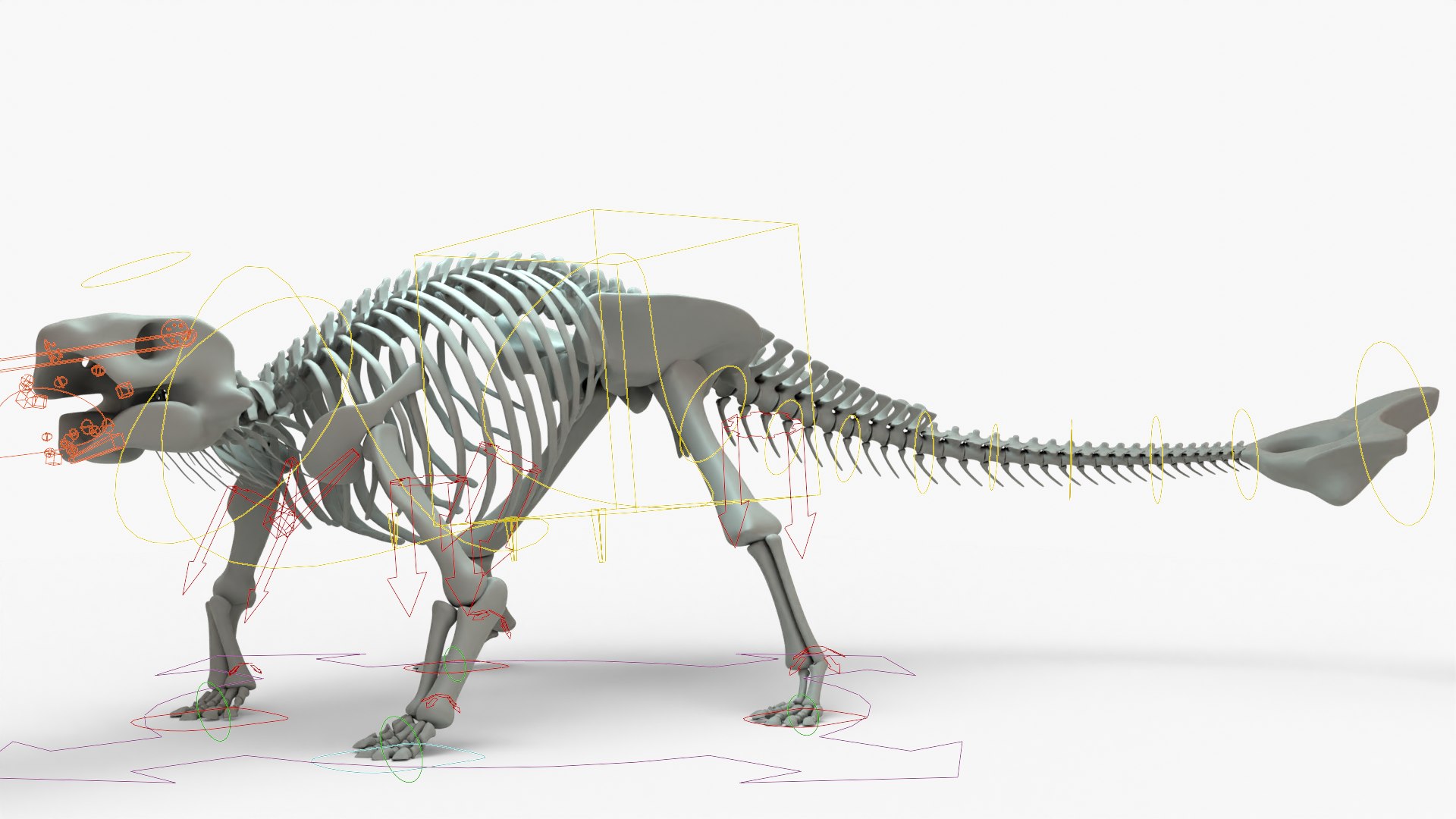 3D Ankylosaurus Rigged Skeleton model - TurboSquid 2131467