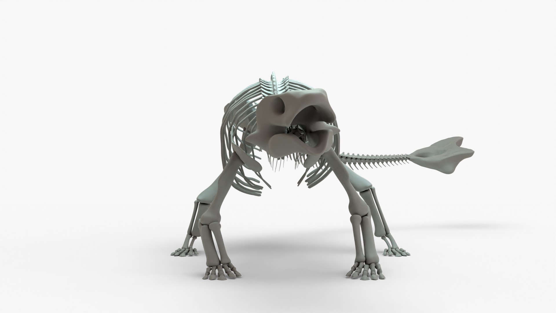 3D Ankylosaurus Rigged Skeleton model - TurboSquid 2131467