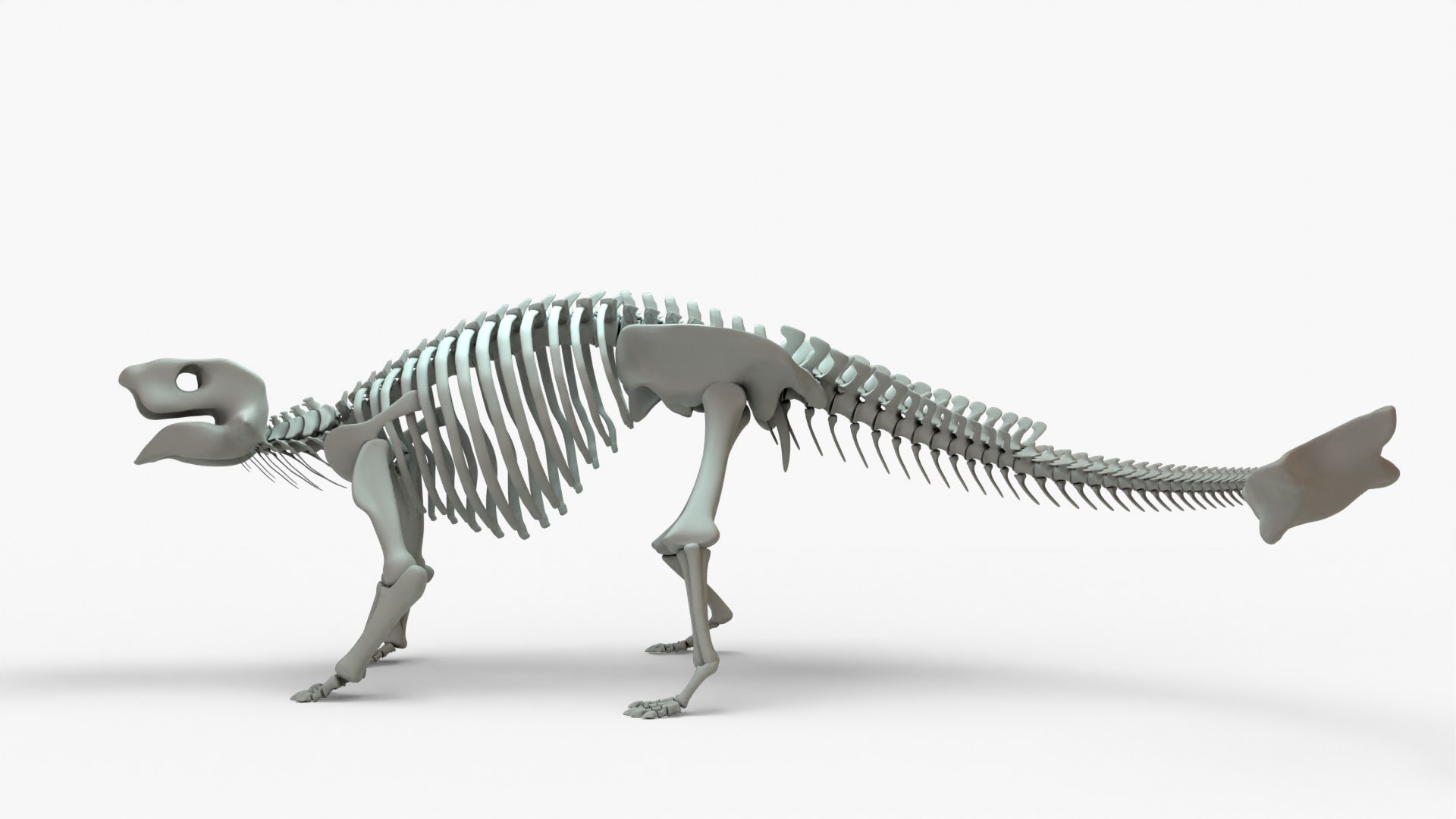 3D Ankylosaurus Rigged Skeleton model - TurboSquid 2131467