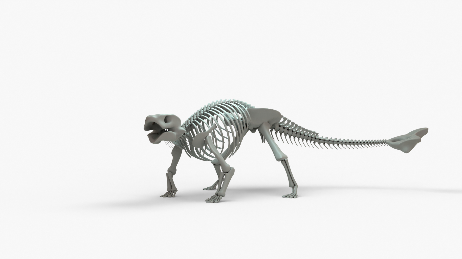 3D Ankylosaurus Rigged Skeleton model - TurboSquid 2131467