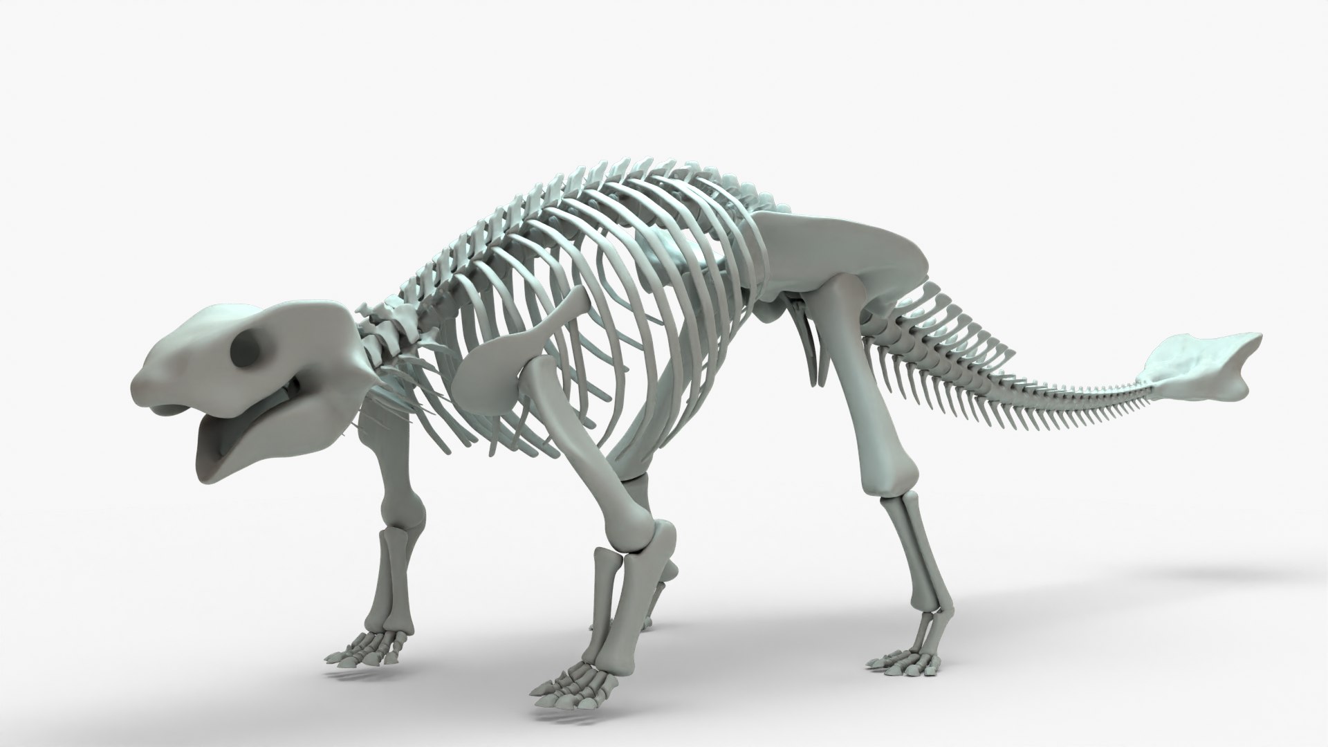 3D Ankylosaurus Rigged Skeleton model - TurboSquid 2131467