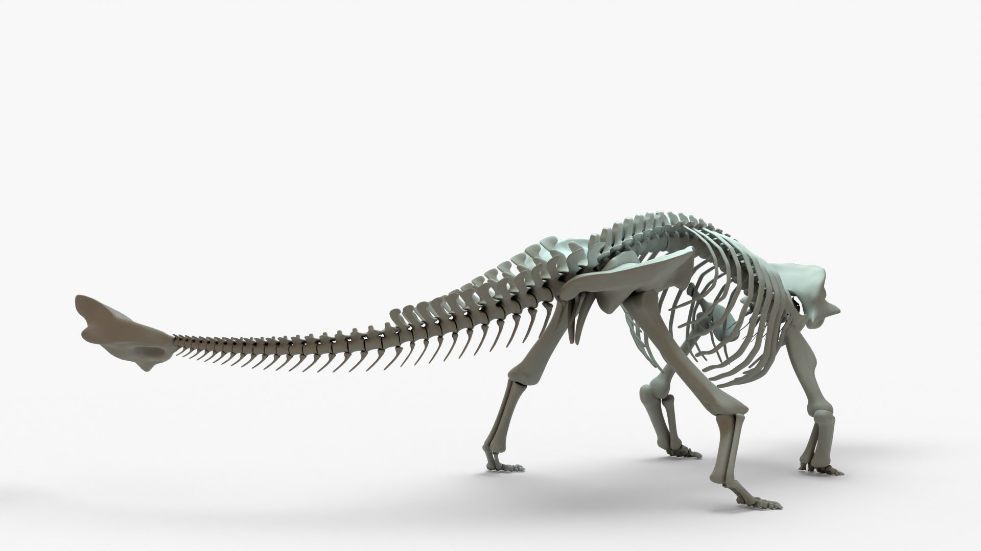 3D Ankylosaurus Rigged Skeleton model - TurboSquid 2131467