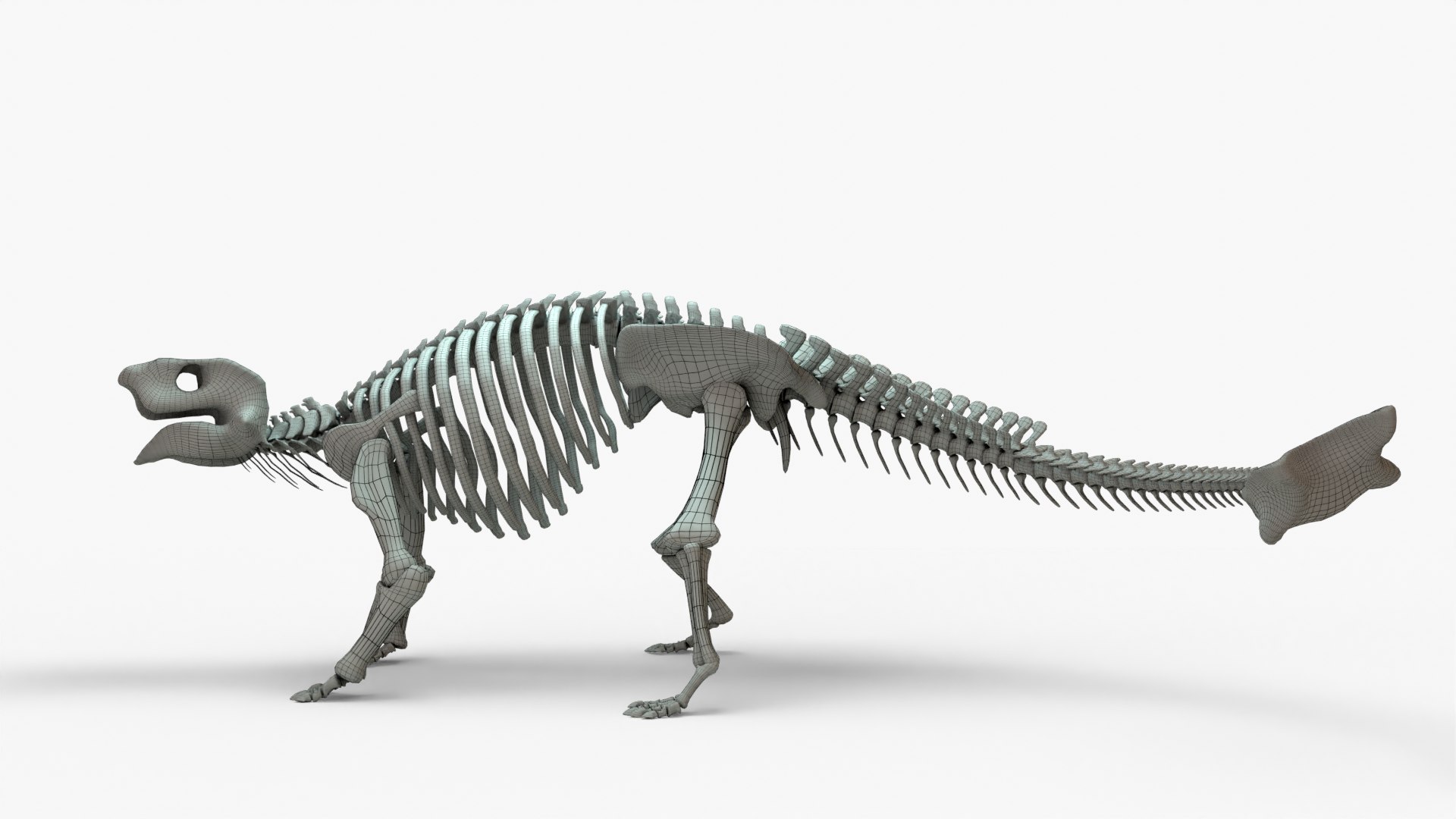 3D Ankylosaurus Rigged Skeleton model - TurboSquid 2131467