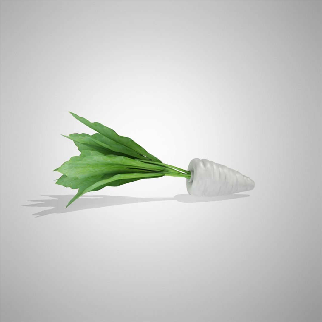 3d model radish white