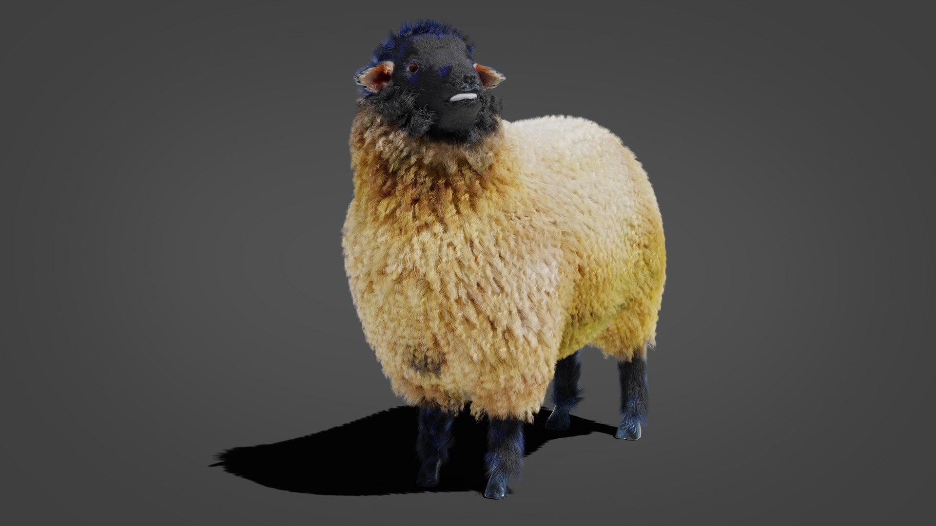 3D Fur Sheep Rigged In Blender Model - TurboSquid 1906756