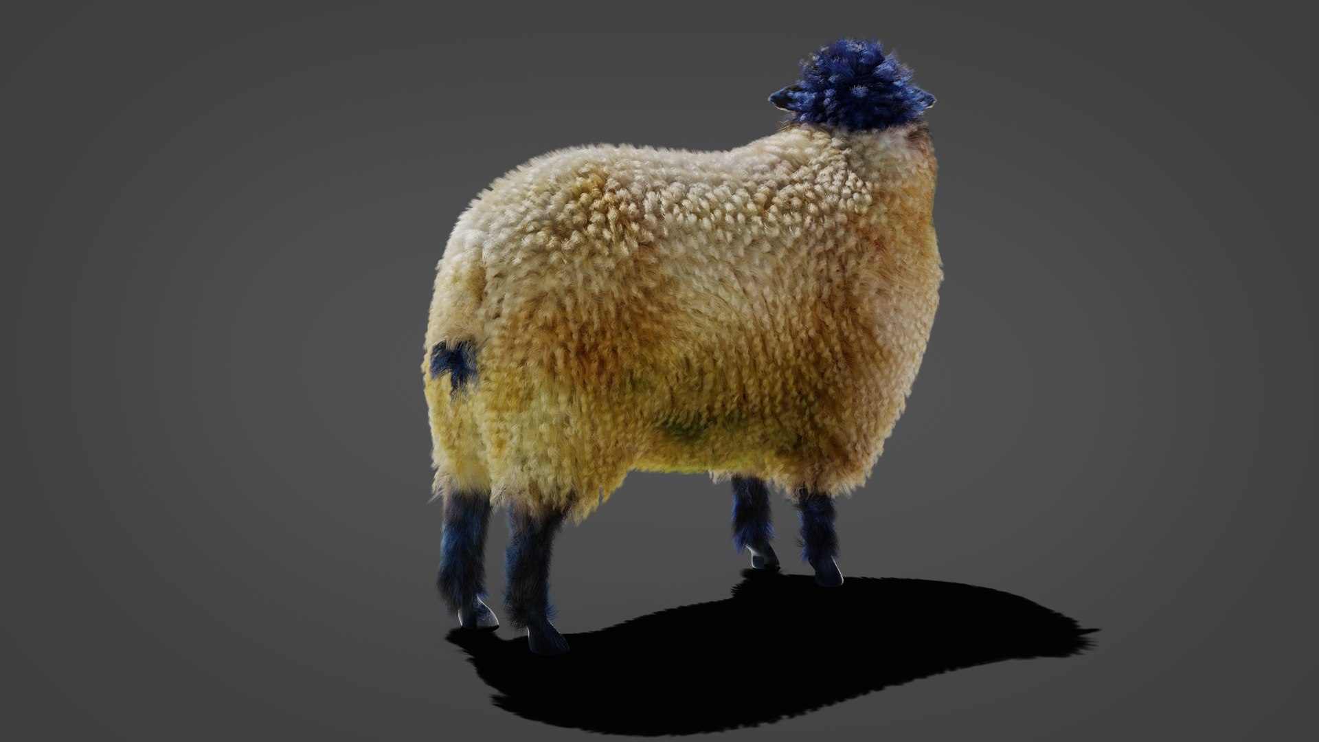 3D Fur Sheep Rigged In Blender Model - TurboSquid 1906756