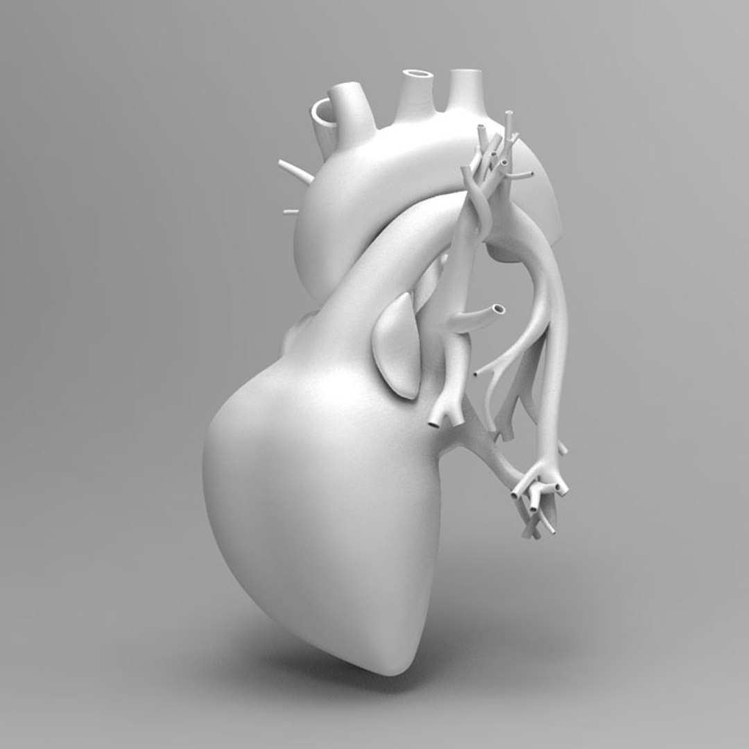 Maya Human Heart