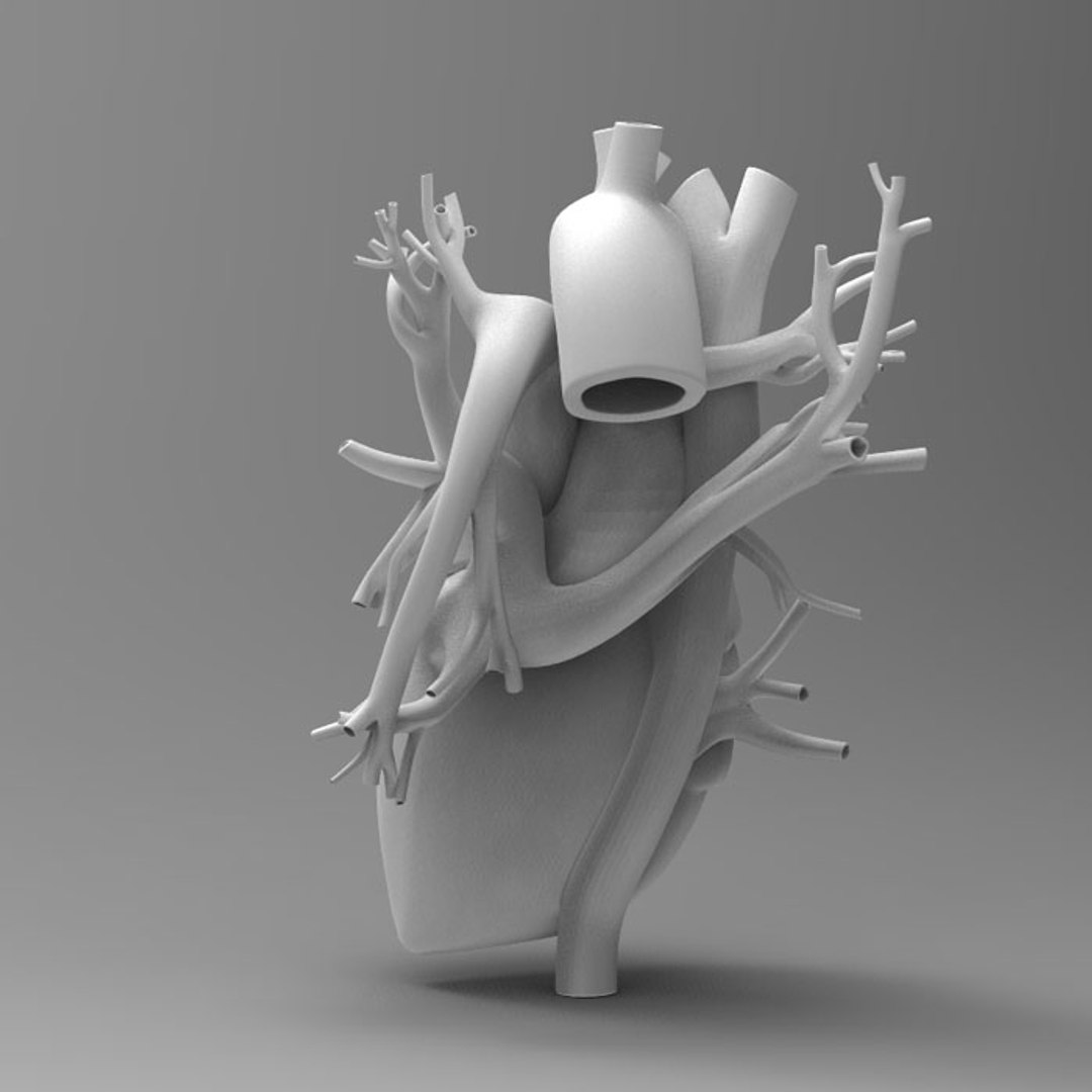 Maya Human Heart