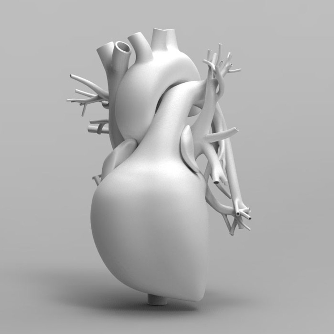 Maya Human Heart