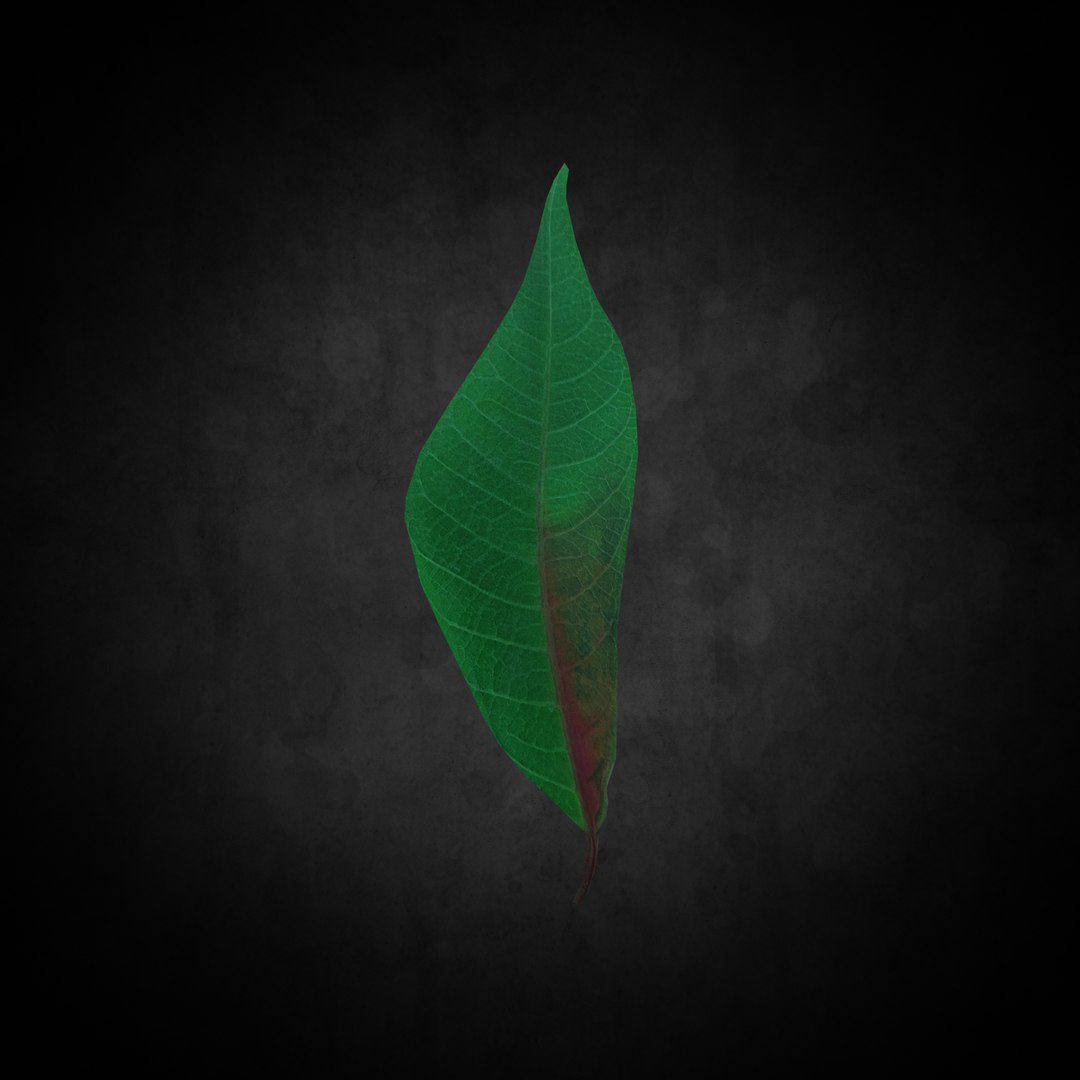 3D Model Low Poly Leaf 057 - TurboSquid 1852433