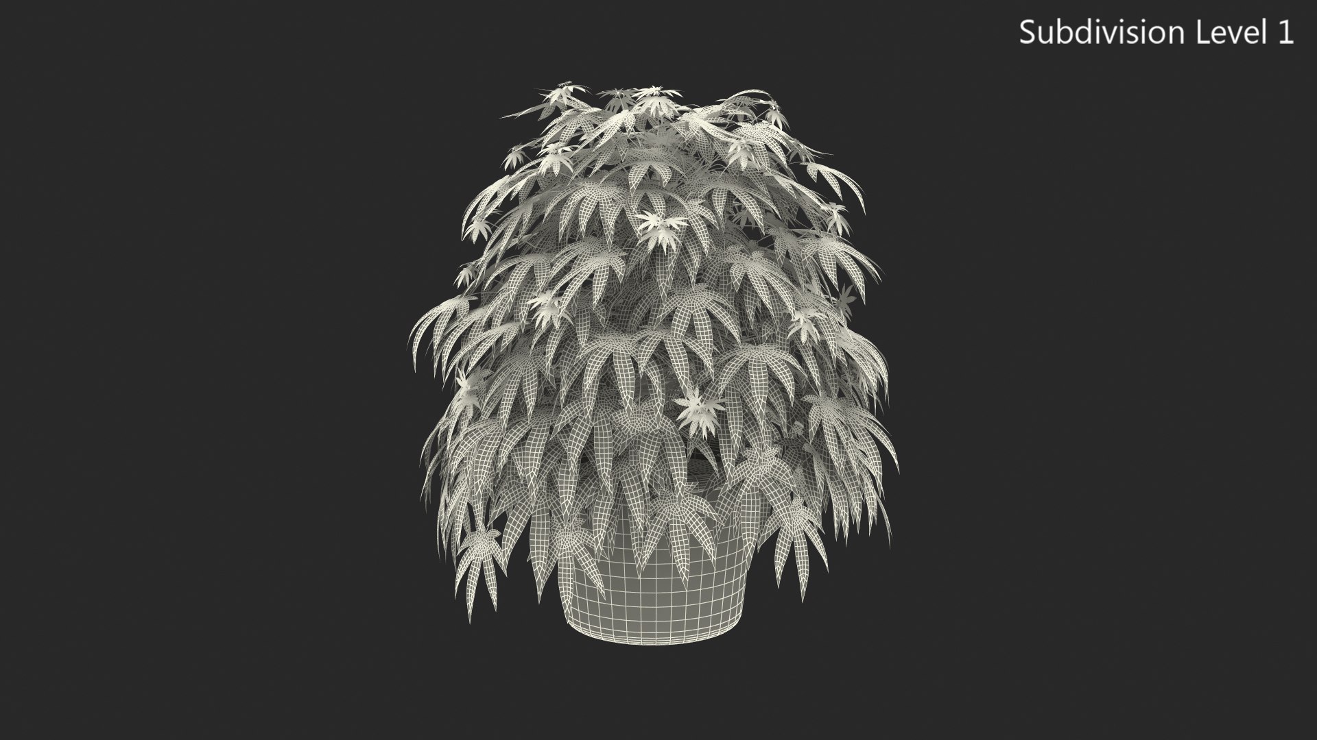 3D marijuana plant pot - TurboSquid 1511499