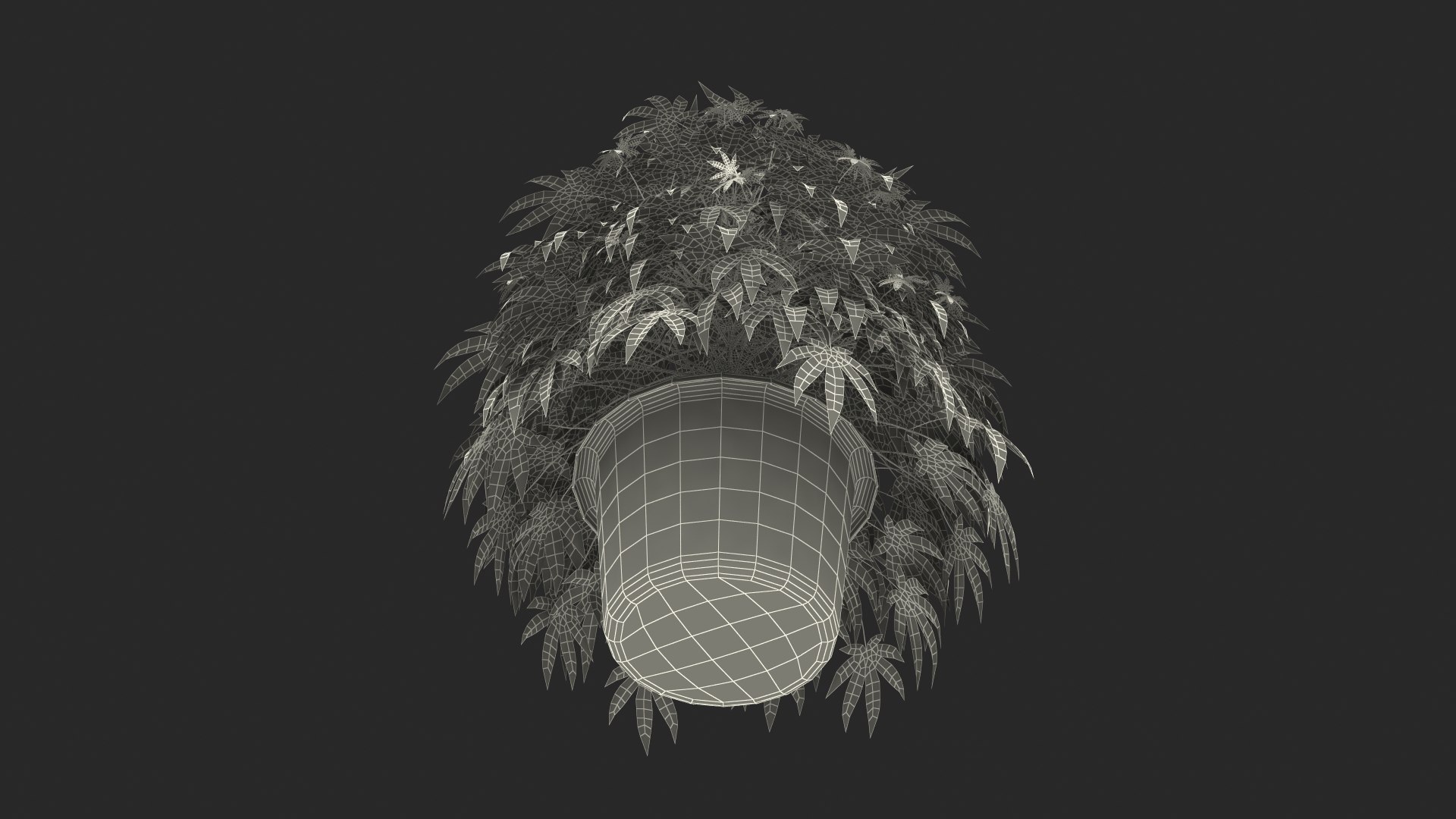 3D marijuana plant pot - TurboSquid 1511499