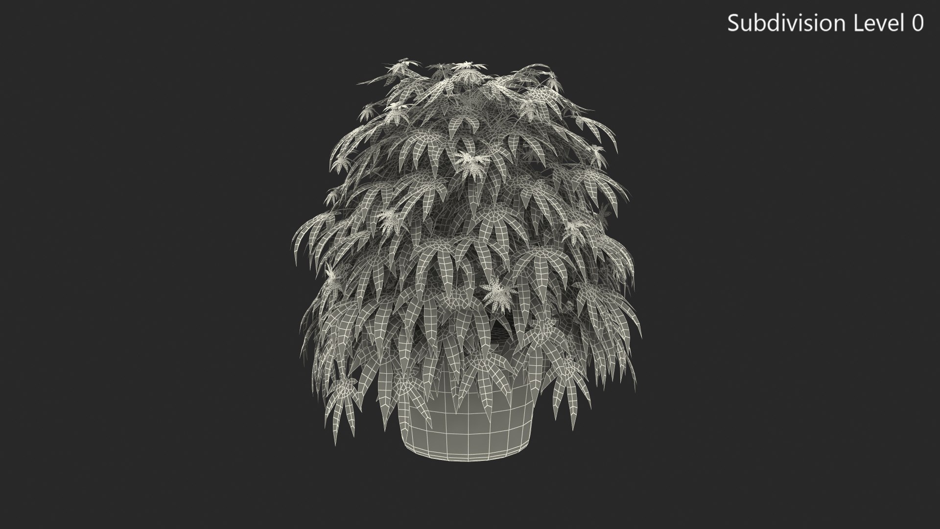 3D marijuana plant pot - TurboSquid 1511499