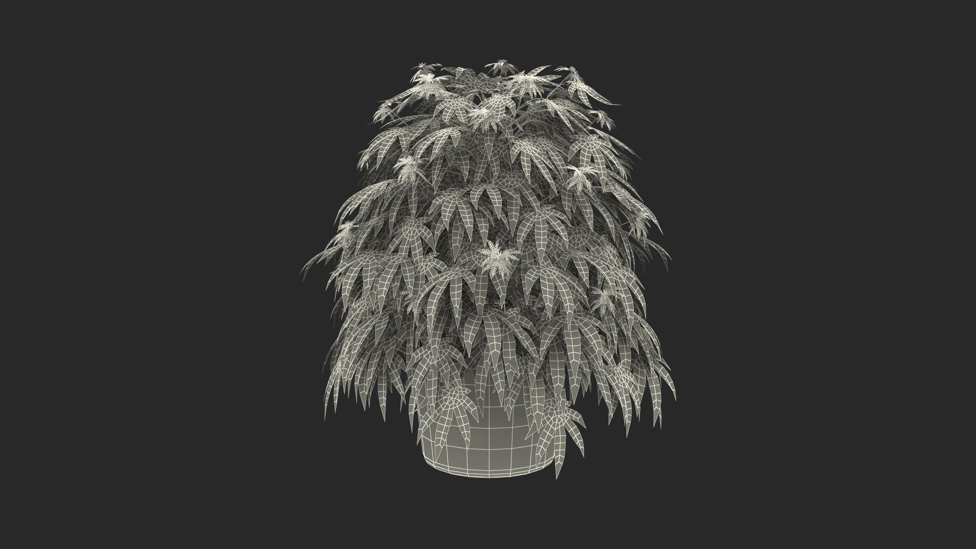 3D marijuana plant pot - TurboSquid 1511499