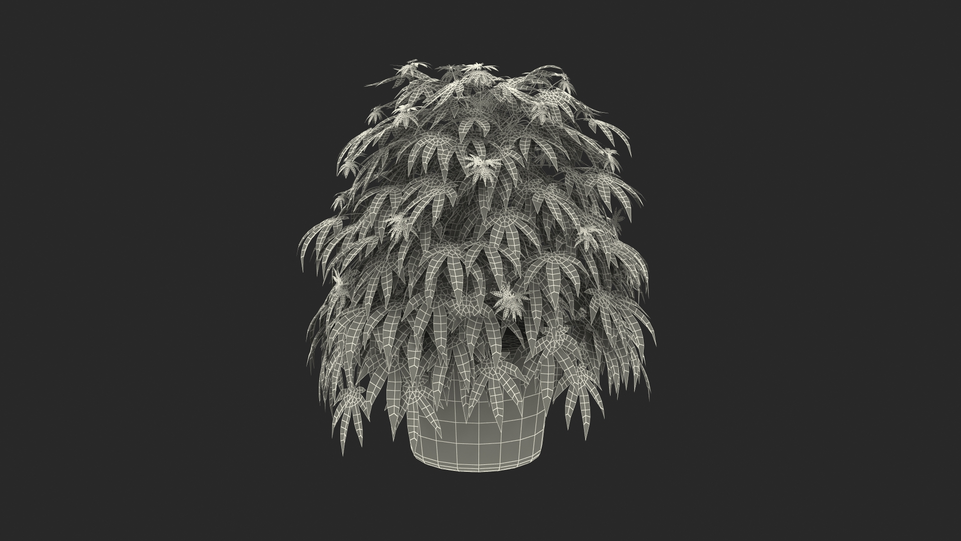 3D Marijuana Plant Pot - TurboSquid 1511499