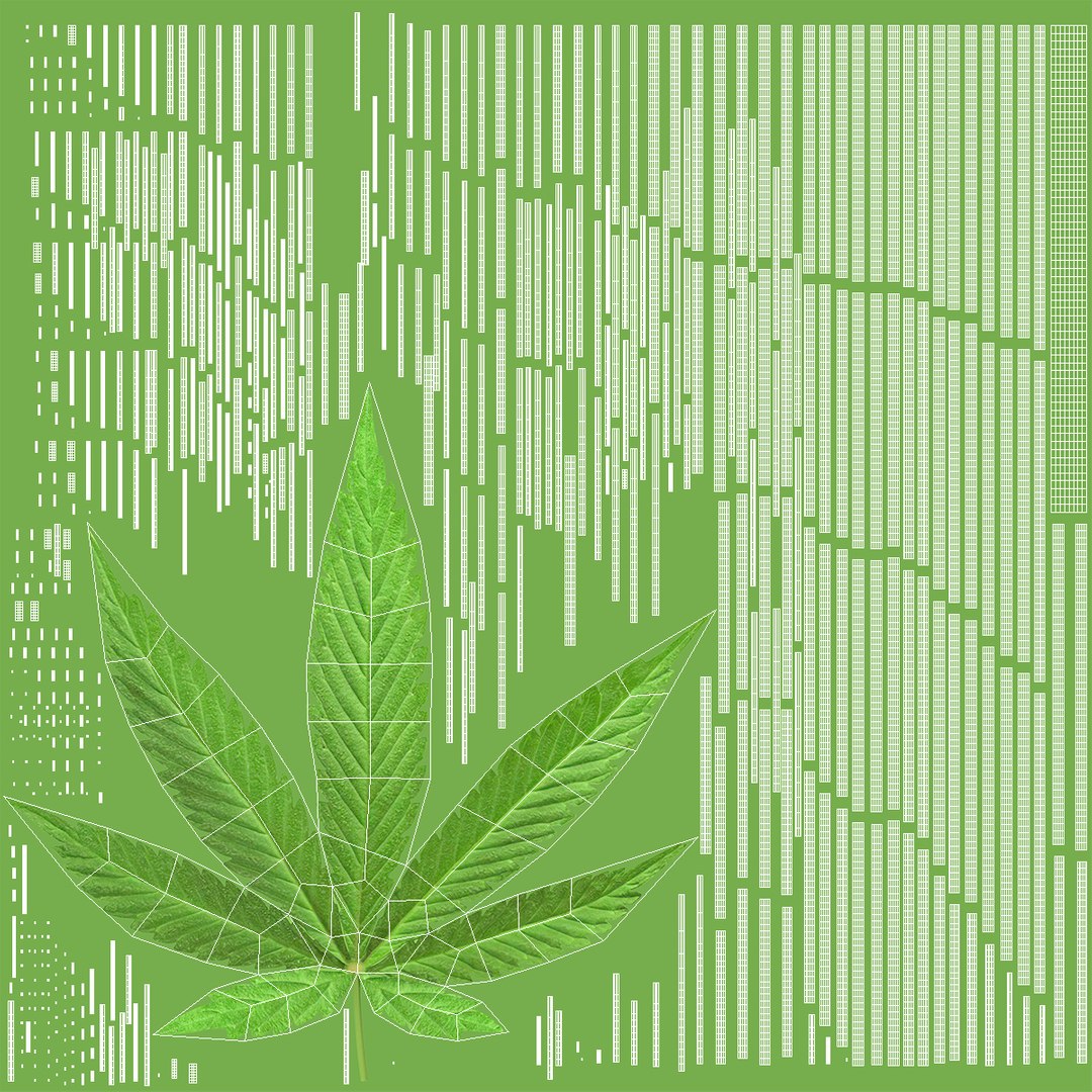 3D marijuana plant pot - TurboSquid 1511499