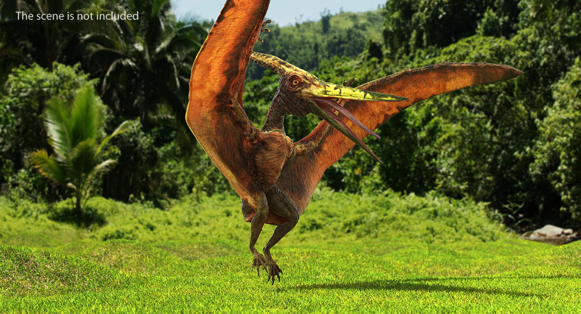 3D Pteranodon Flying Carnivorous Reptile - TurboSquid 1384854