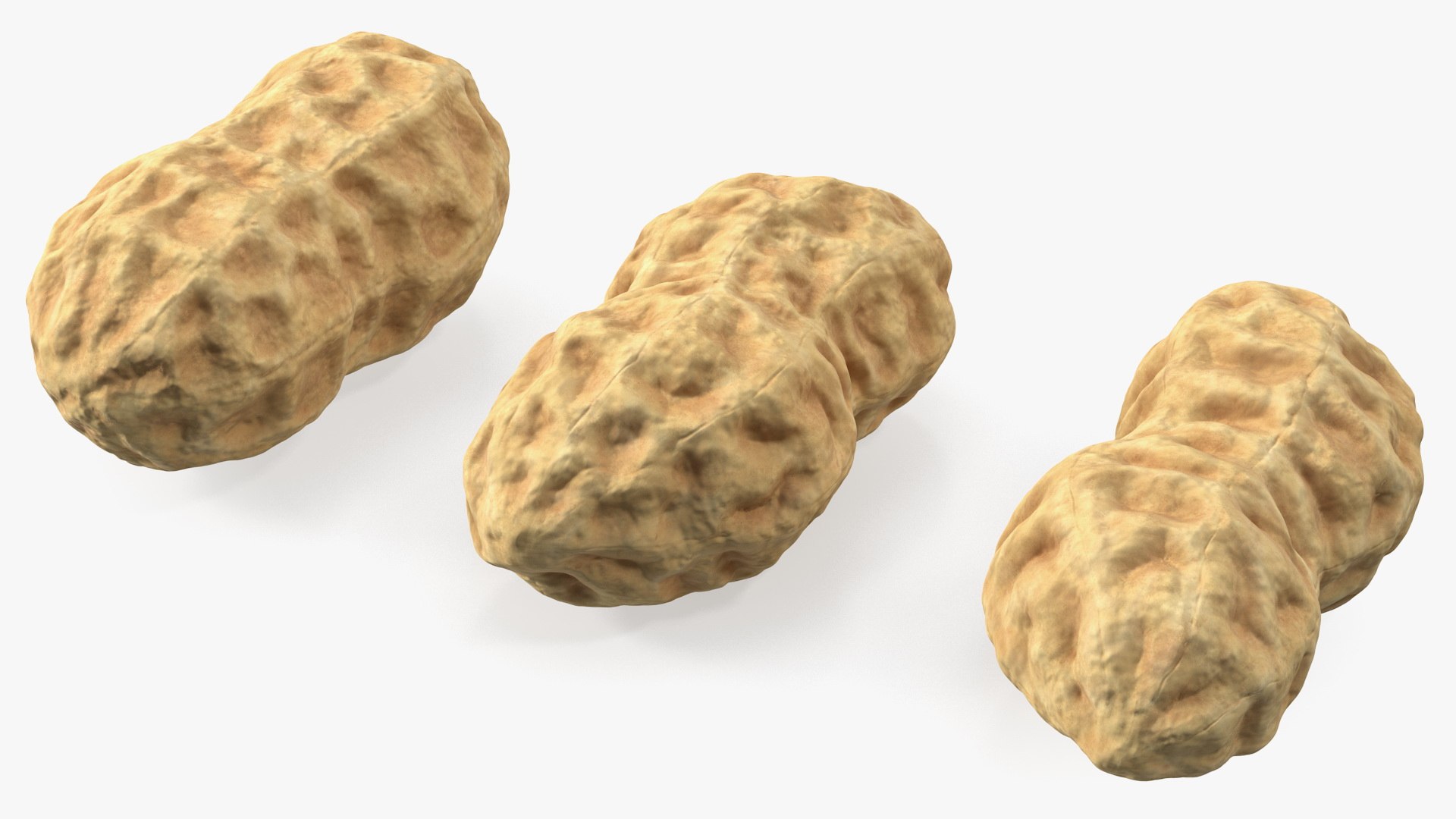 3D Peanuts Nut Model - TurboSquid 1458585