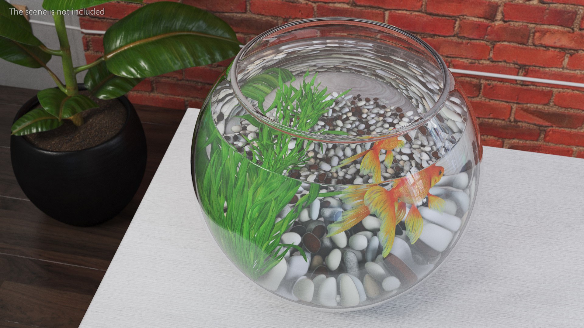 Round Aquarium with GoldFish 3D model - TurboSquid 2031238