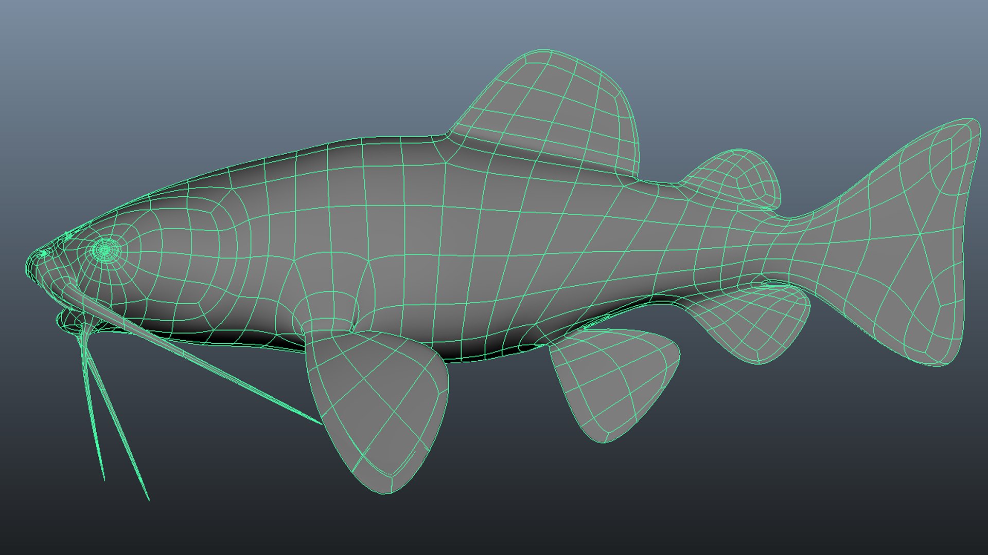 Red Tailed Catfish 2 3D Model - TurboSquid 1743458