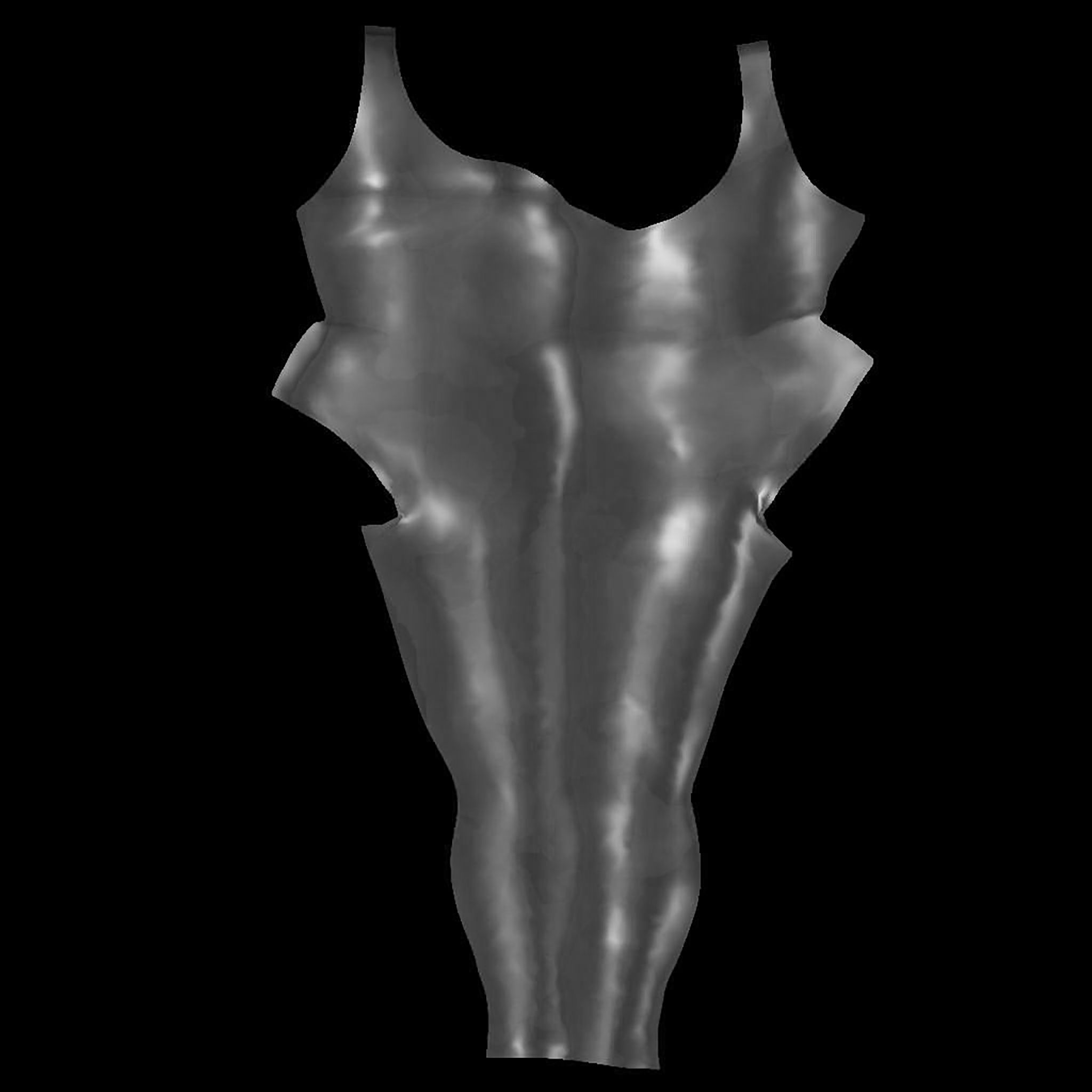 One Shoulder One Leg Catsuit 3D model - TurboSquid 1829162