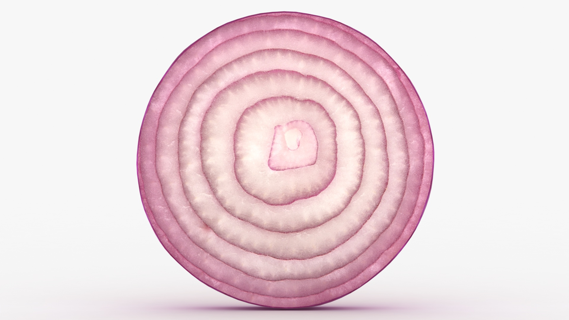 onion texture 3d