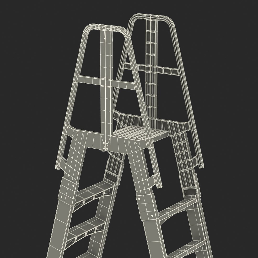 3d Model Of Double Sided Step Ladder